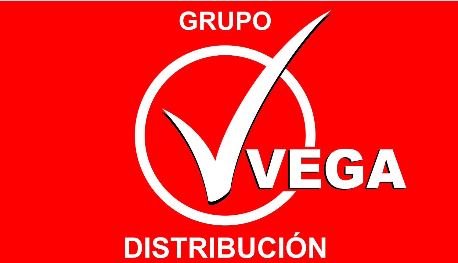 Auditoría de Seguridad y Salud en el Trabajo en Grupo Vega - Aisel ...